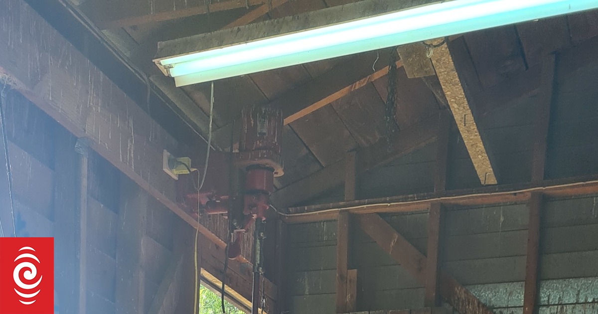 Amy Silcock setting her sights on another shearing world record | RNZ