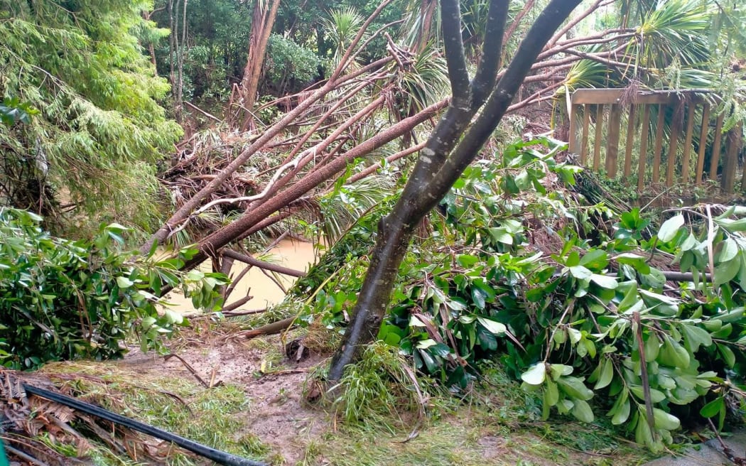 In pictures: Aucklanders wake to destruction after severe thunderstorm | RNZ News