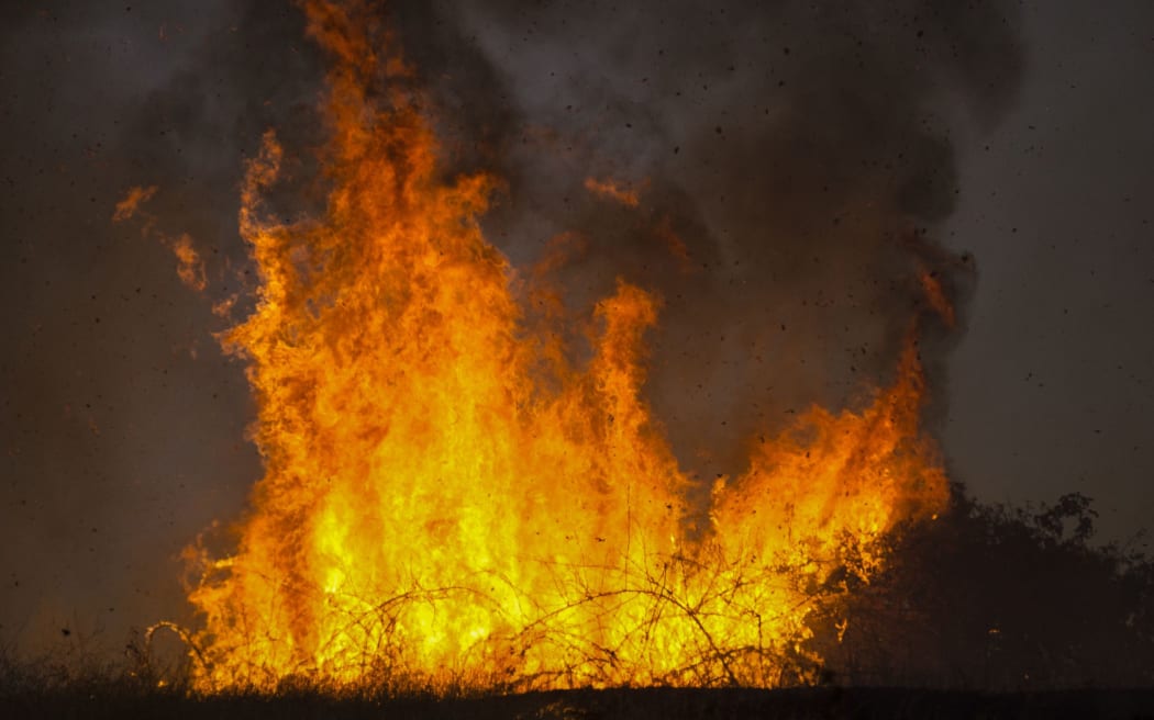 Fiji forest fires putting farming, tourism at risk - NGO | RNZ News