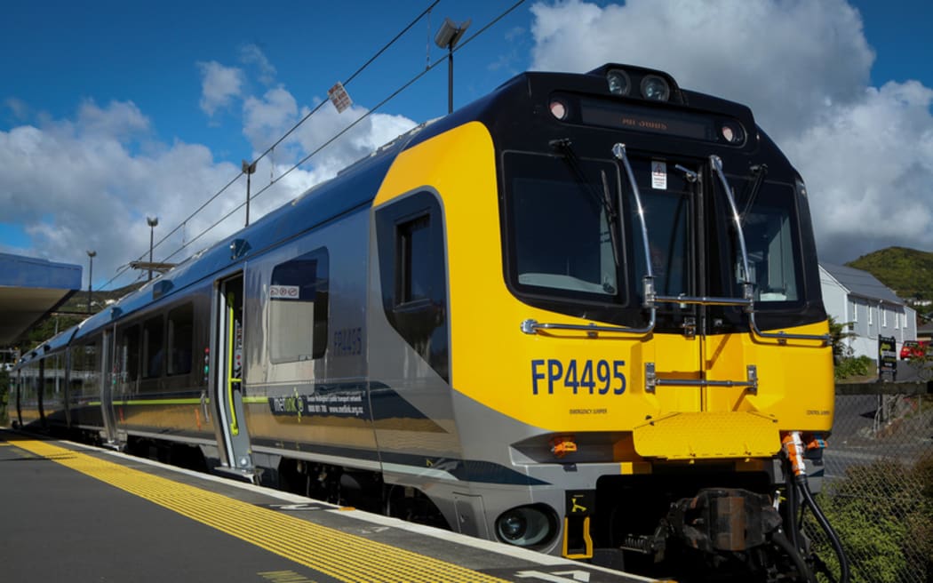 Train services back on track after tree cleared | RNZ News