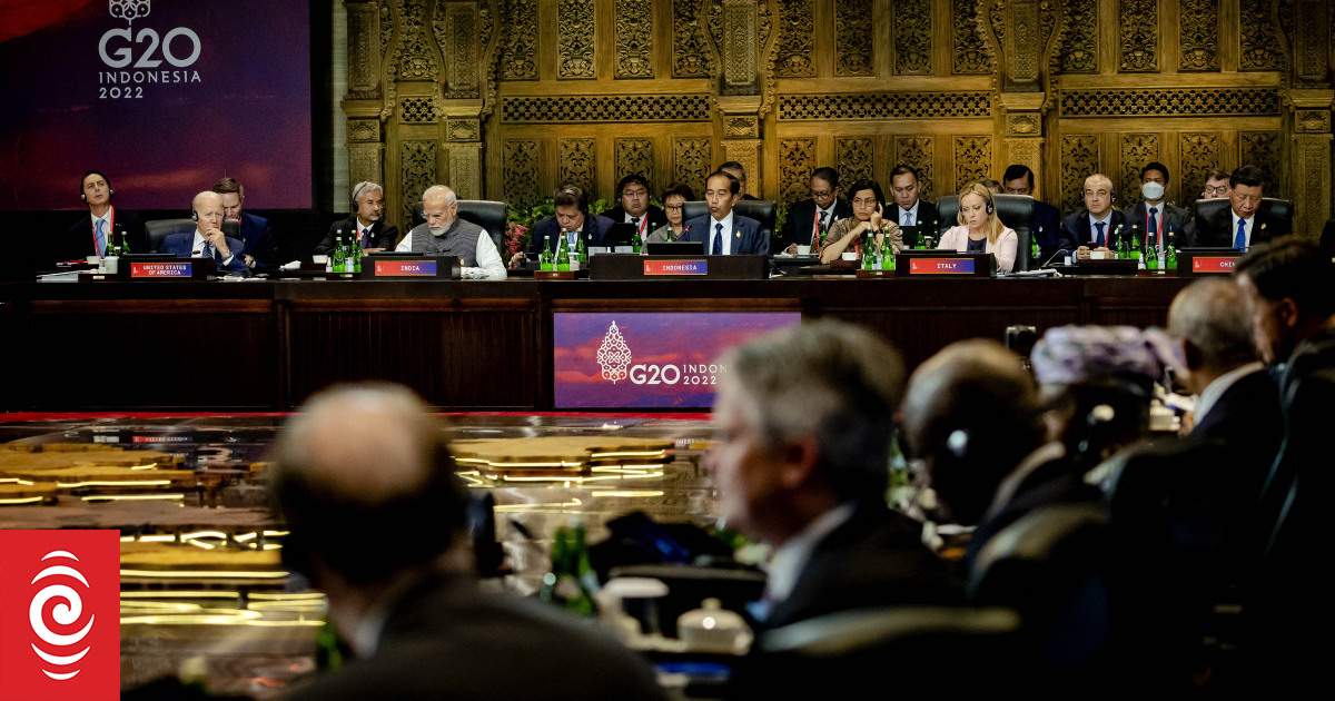 G20 starts in Bali as Ukraine war, raging inflation top agenda | RNZ News