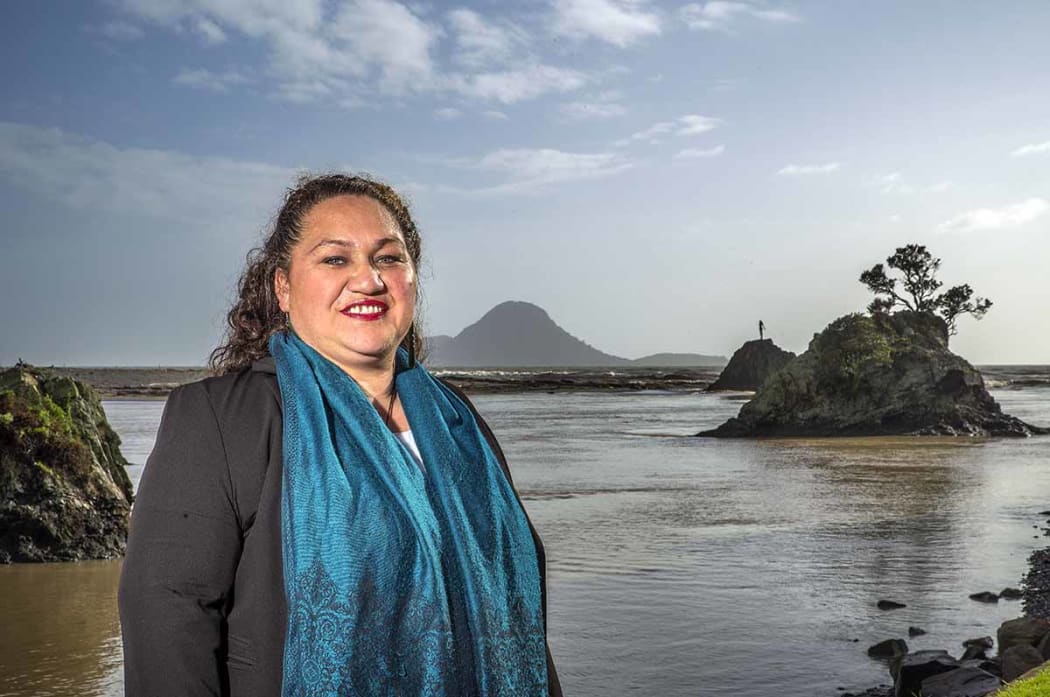 Māori ward advocate looks to complete journey | RNZ News