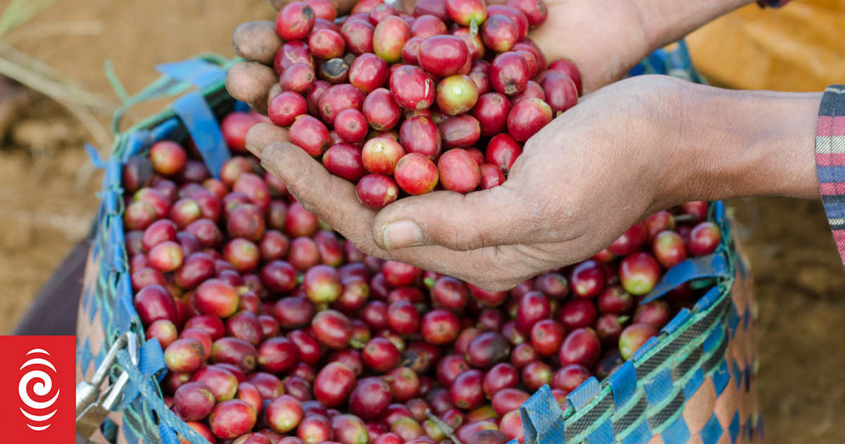 Climate change: Key crops face major shifts as world warms | RNZ News