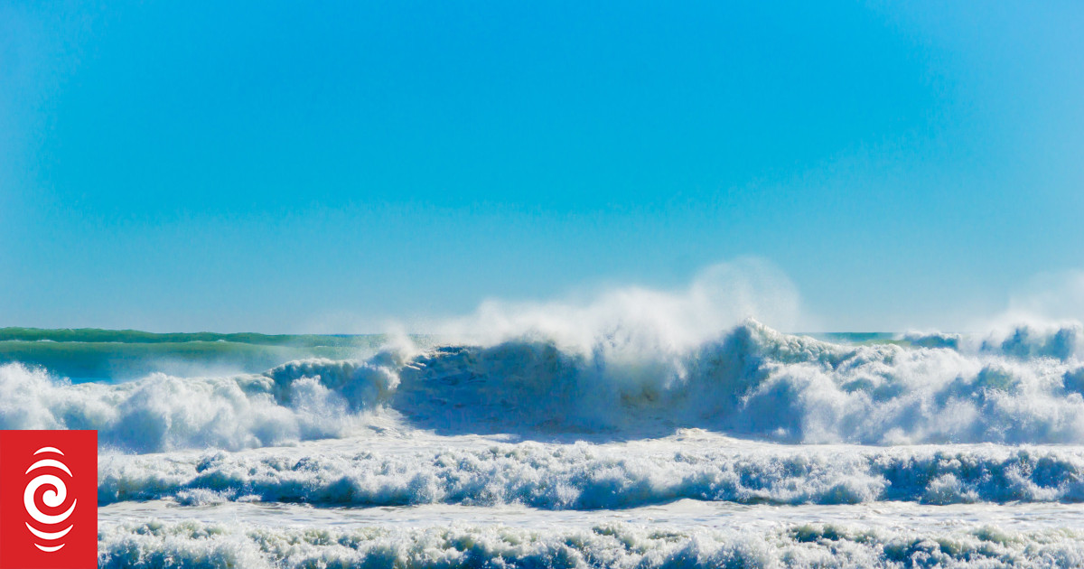 How artificial intelligence may help us avoid ocean rips | RNZ News