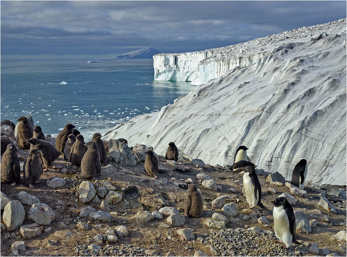 Andris Apse: photography and mystery | RNZ