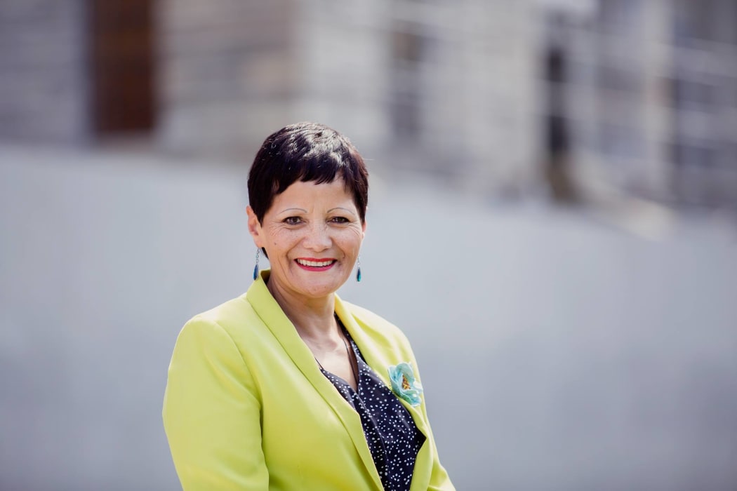 National's Jo Hayes: Time for a 'voice' in Māori seats | RNZ News