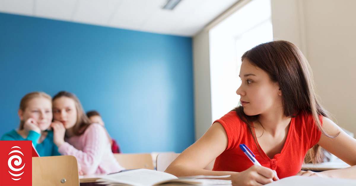More allegations of schools bullying failure | RNZ