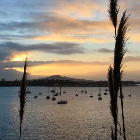 Programmes on RNZ Concert