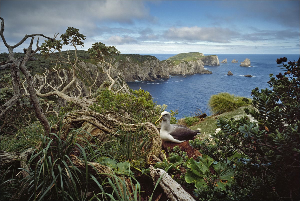 Andris Apse: photography and mystery | RNZ