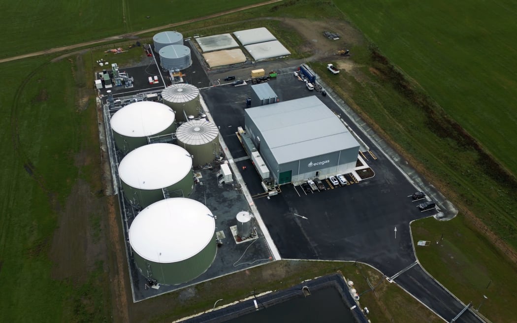 How Auckland food waste is helping power NZ's electricity grid | RNZ