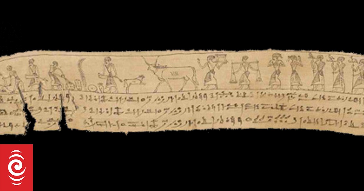 Ancient Egyptian shroud discovery in NZ | RNZ