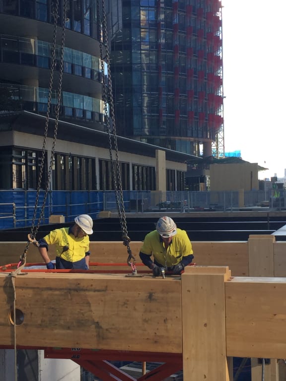 Plyscrapers | A Gallery from Nine To Noon | RNZ National