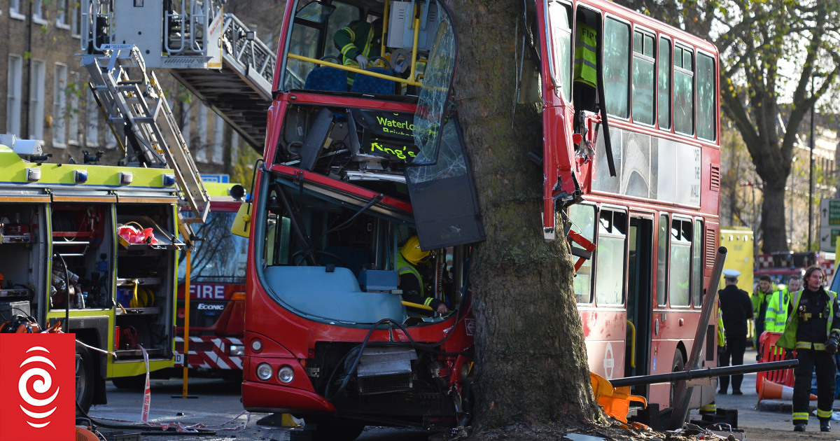 Passengers hurt when double-decker bus hit tree | RNZ News