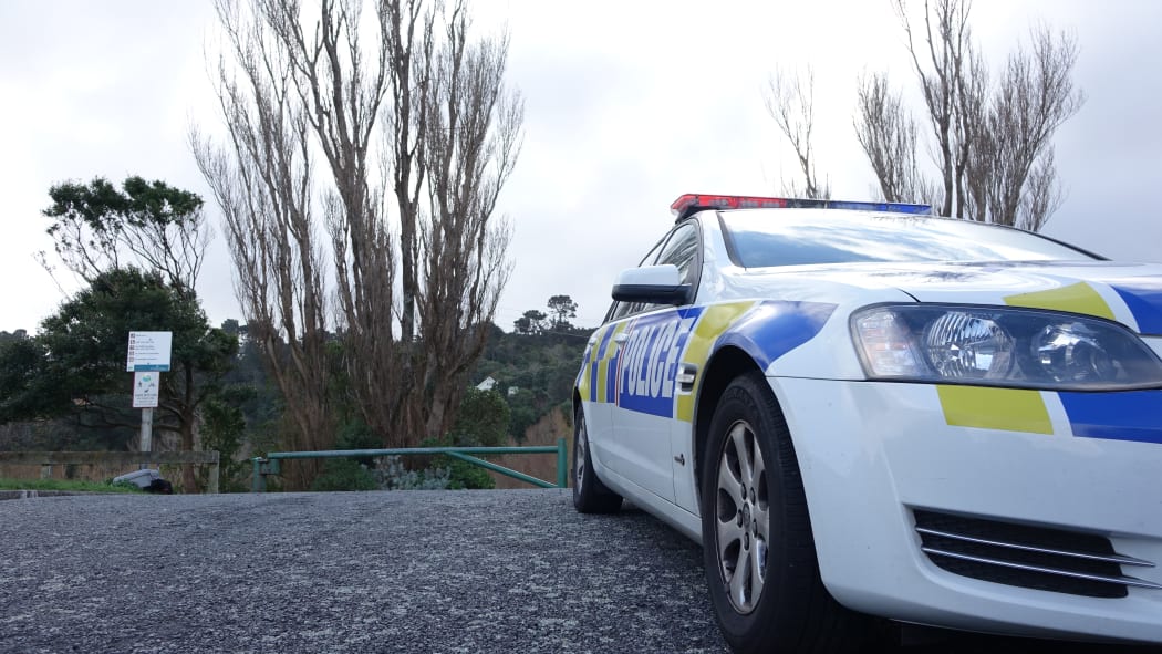 Lower Hutt attack an isolated incident - police | RNZ News
