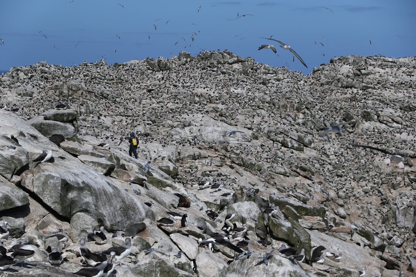 Nine To Noon for Tuesday 14 March 2023 Nine To Noon | RNZ