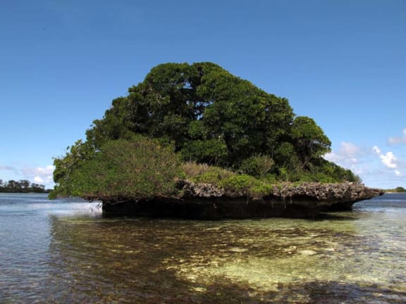 Assumption Island / Aldabra Atoll | A Gallery from Nine To Noon | RNZ ...