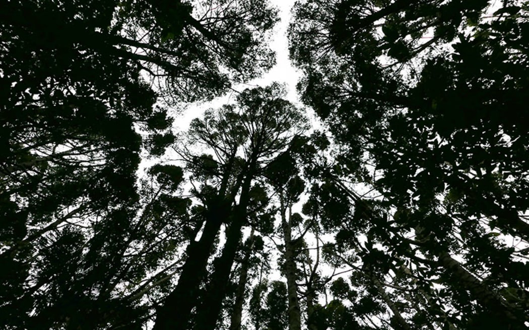 Off the beaten track with Kennedy Warne | RNZ