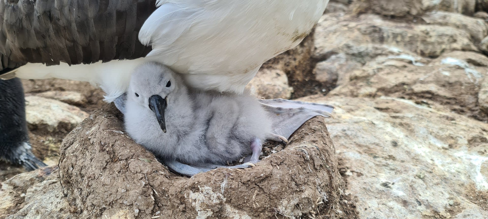 Nine To Noon for Tuesday 14 March 2023 Nine To Noon | RNZ