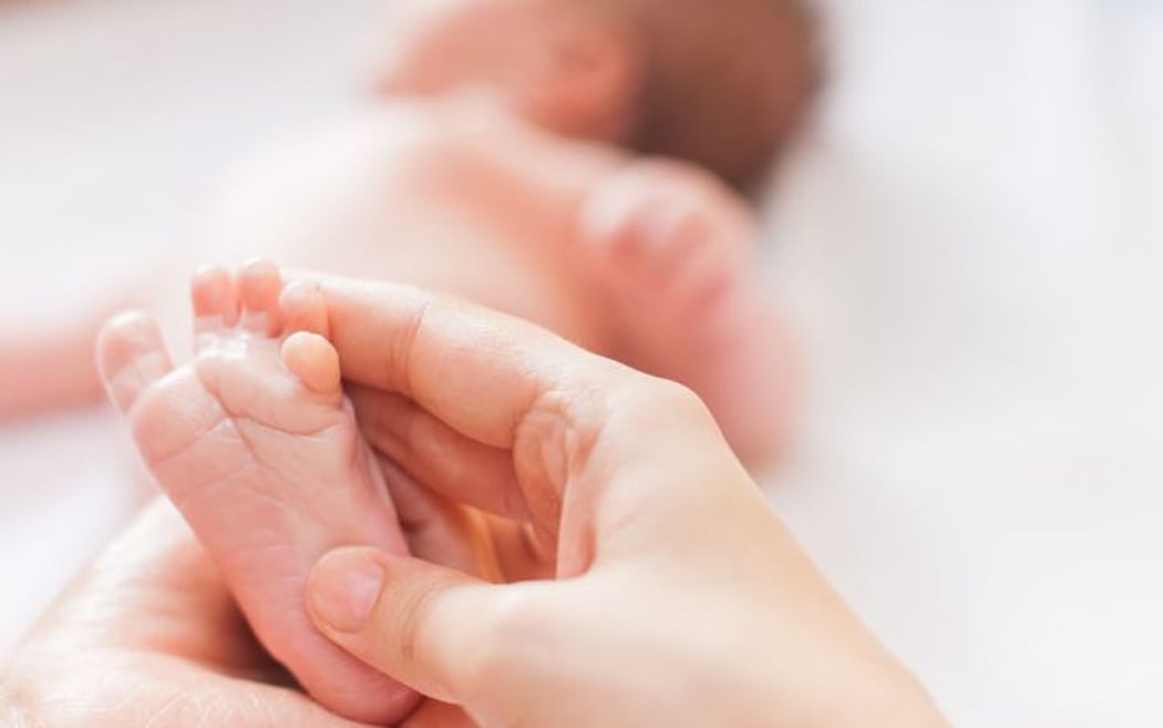 Warning of link between virus and malformed babies | RNZ News