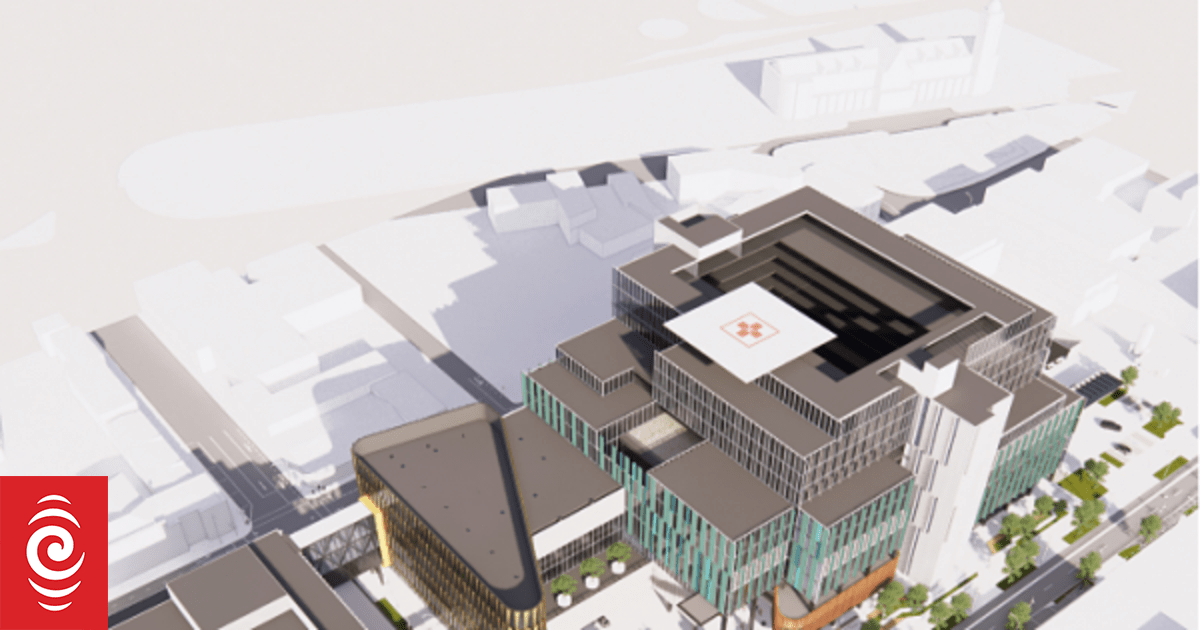 Dunedin Hospital built with "Hammeroid" | RNZ