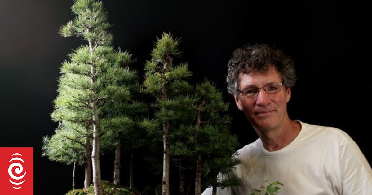 How the art of bonsai made this YouTuber famous | RNZ