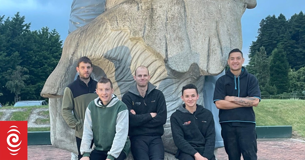 Five-man shearing gang aim for nine-hour world record | RNZ News