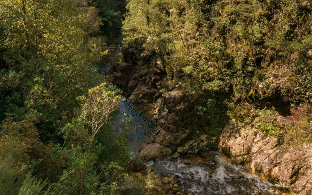 Anti-mining group fights Coromandel gold mining business | RNZ News