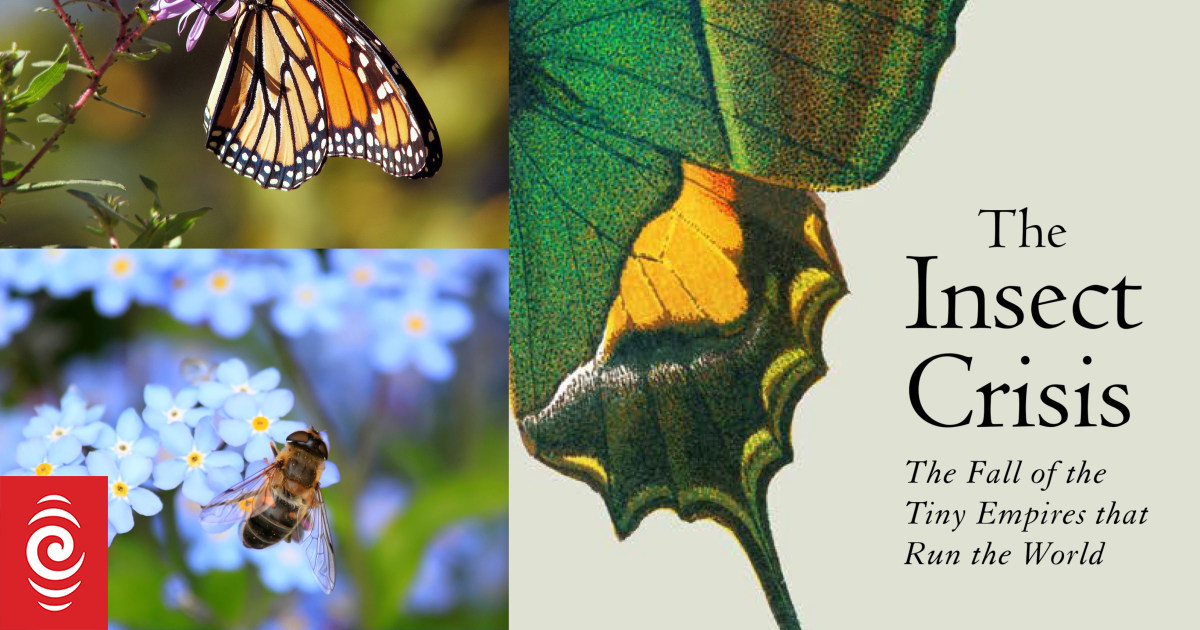 Insectageddon: a silent unfolding disaster | RNZ