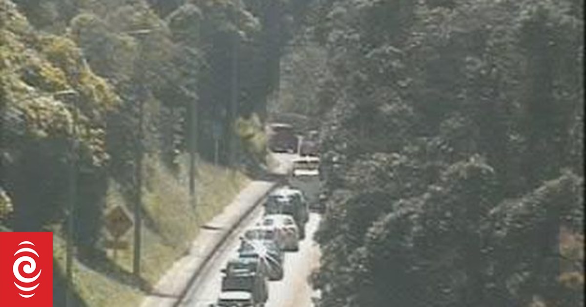 Driver critically injured in head-on SH1 crash | RNZ News