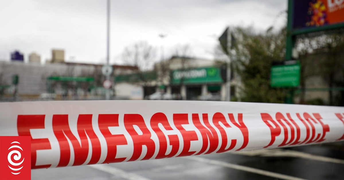 Dunedin supermarket stabbing: Off-duty cop subdued attacker | RNZ