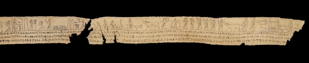 Ancient Egyptian shroud discovery in NZ | RNZ