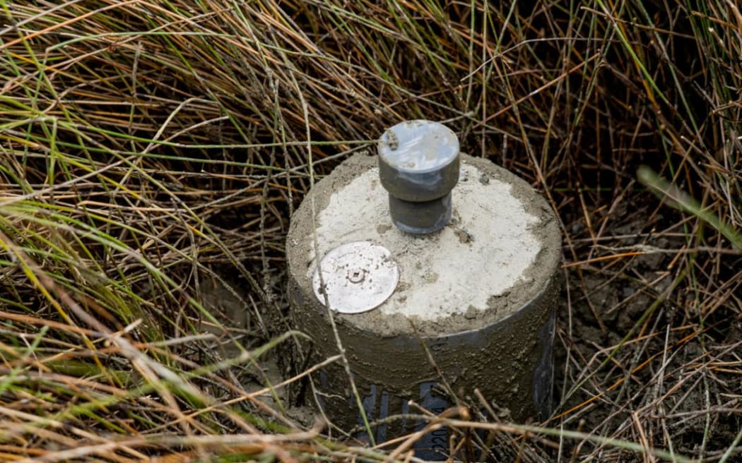 Sea-level rise effects on estuaries and wetlands to be tracked | RNZ News