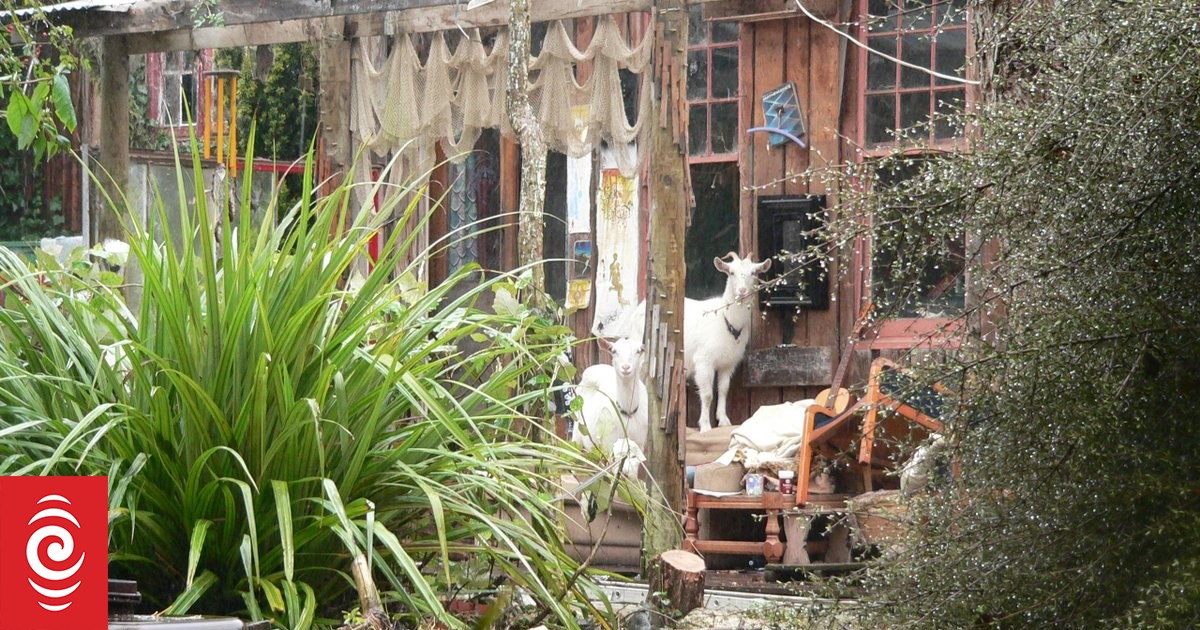 'Flax roots' climate action leads to the first 'climate safe house ...