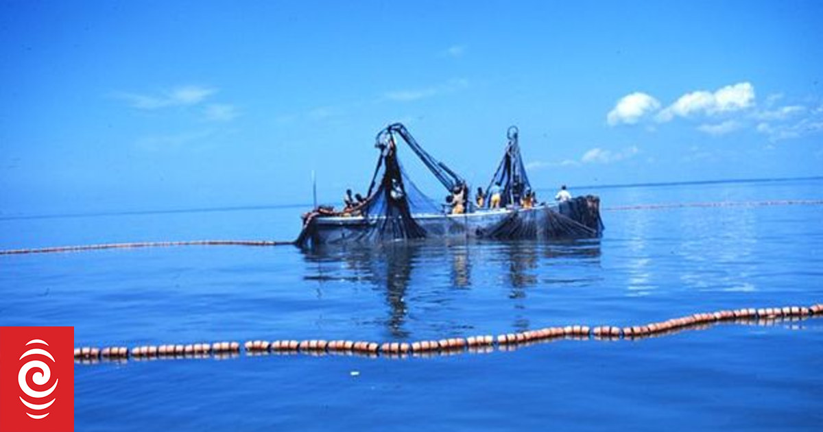 Reports of 'fish piracy' on Solomons fishing boats | RNZ News