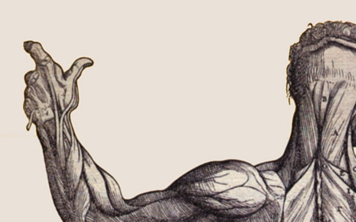 Google Maps for the human body | RNZ