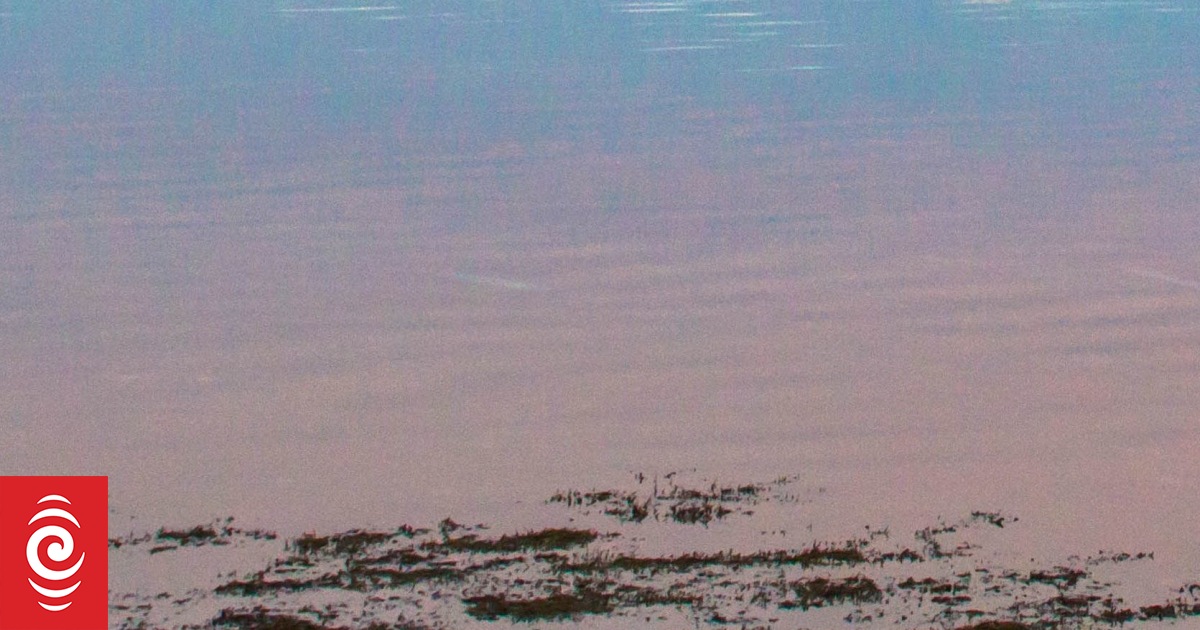 Red 'blood sea' in Tonga explained | RNZ News