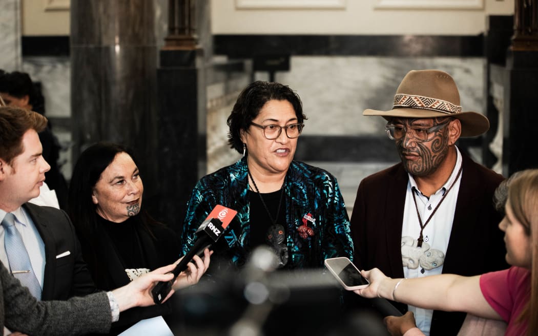 Week in Politics: Te Pāti Māori in spotlight as Luxon paints a picture ...