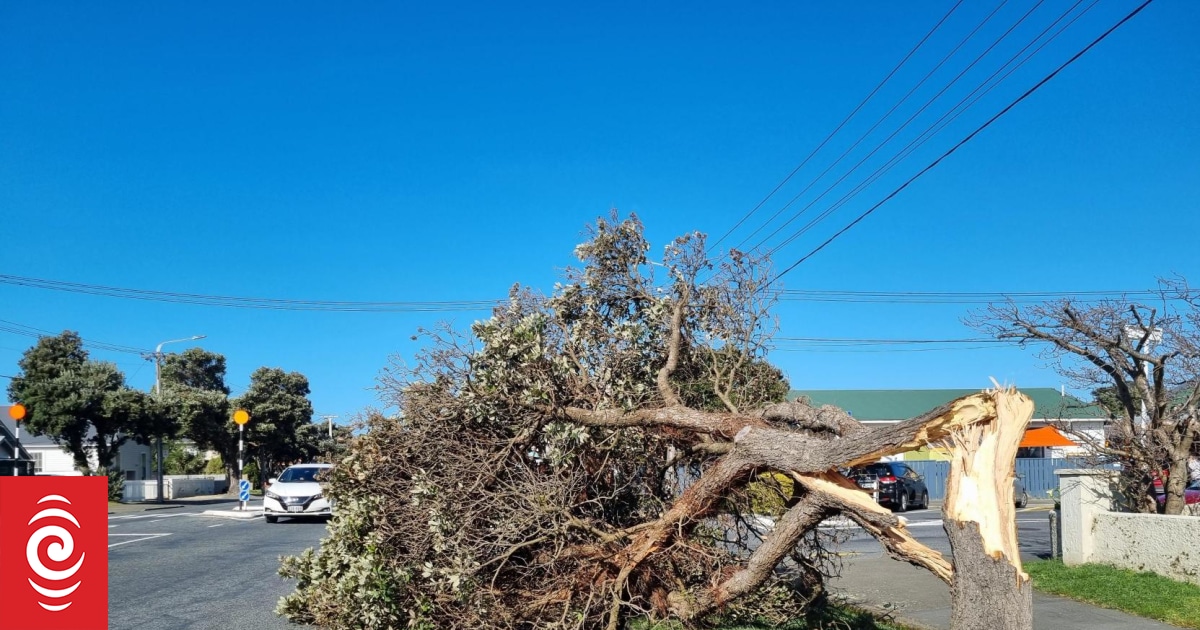 Tararua homes without power for days after extreme winds on Sunday ...