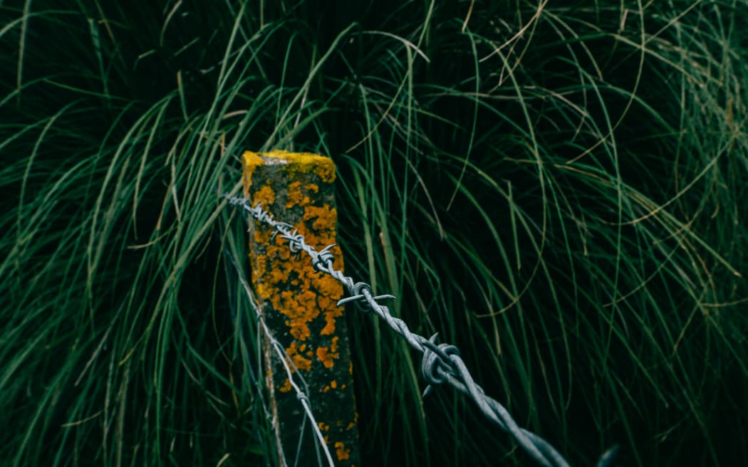 The Mr Big Operation on David Lyttle | RNZ