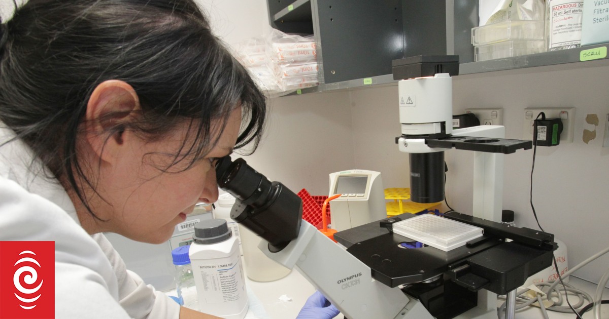 Lincoln science hub on tight timetable | RNZ News