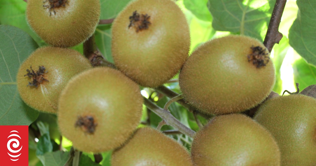 Fruit and Veges with Glenn Forsyth | RNZ