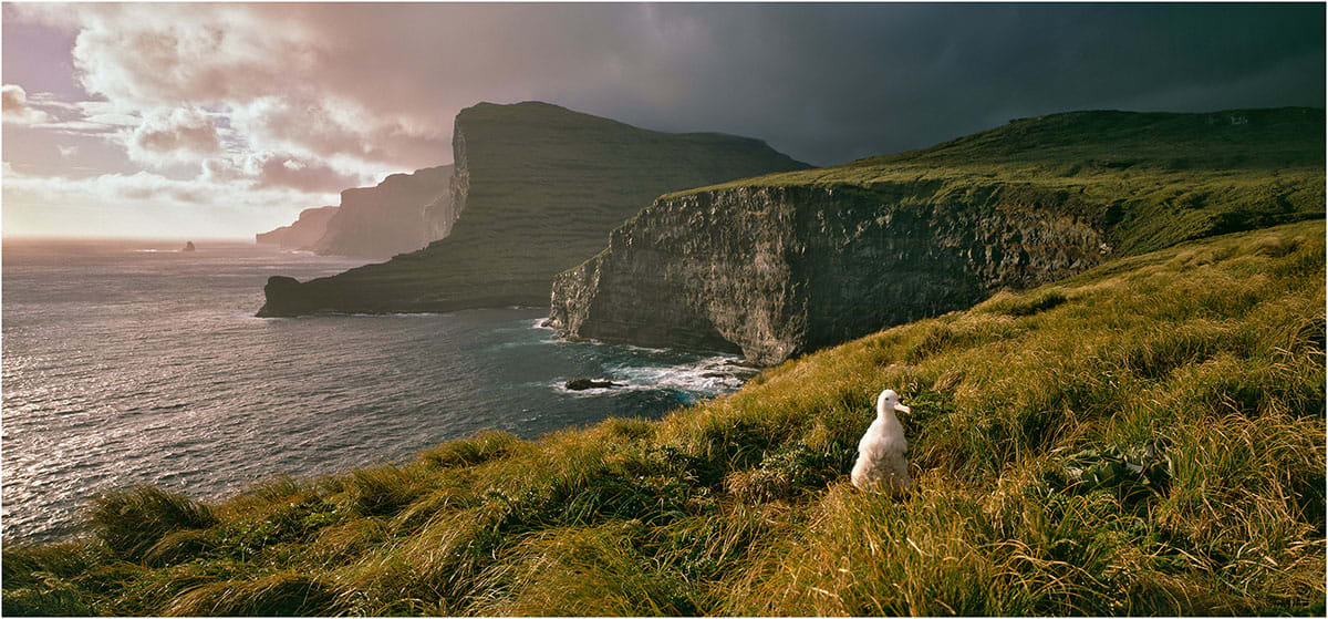 Andris Apse: photography and mystery | RNZ