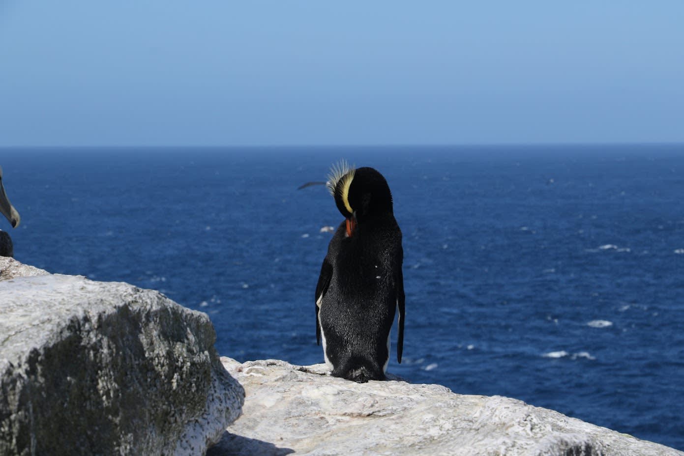 Nine To Noon for Tuesday 14 March 2023 Nine To Noon | RNZ