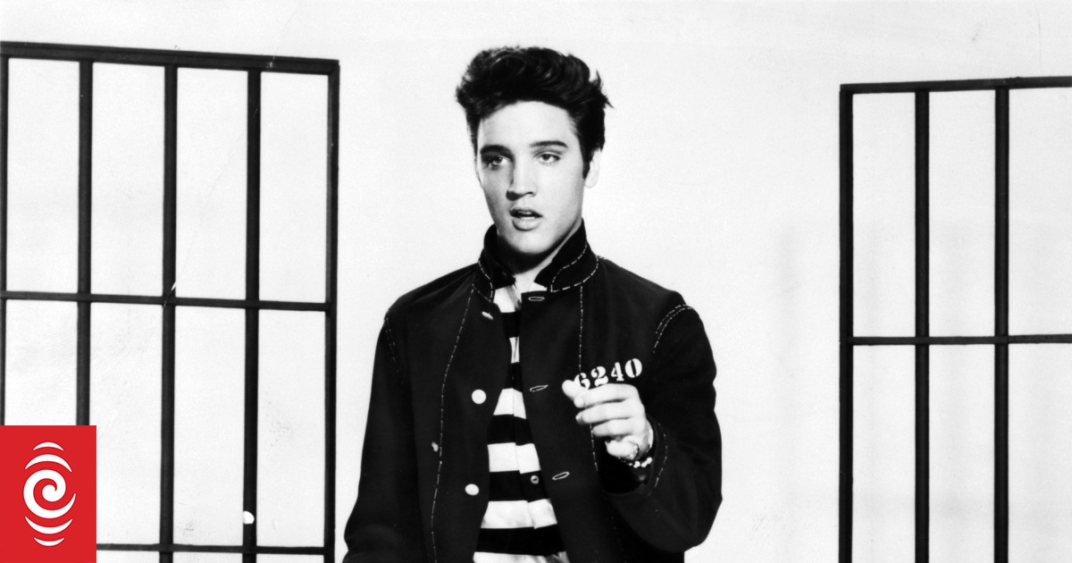 Music with Charlotte Ryan | RNZ