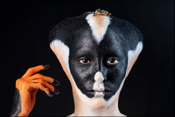 Metamorphosis | A Gallery from Saturday Morning | RNZ National