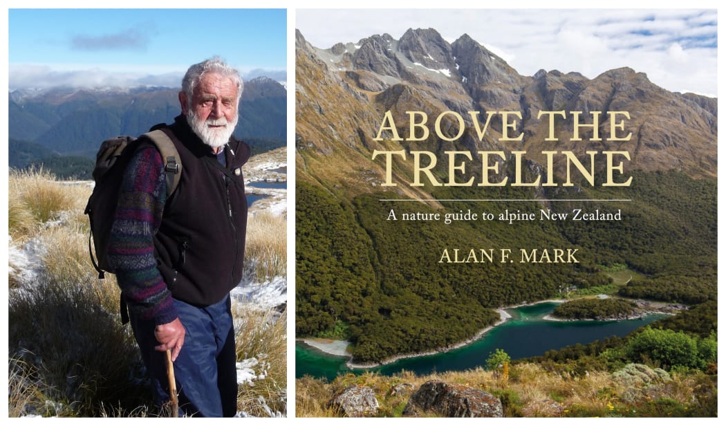 Challenges facing alpine NZ - Sir Alan Mark | RNZ