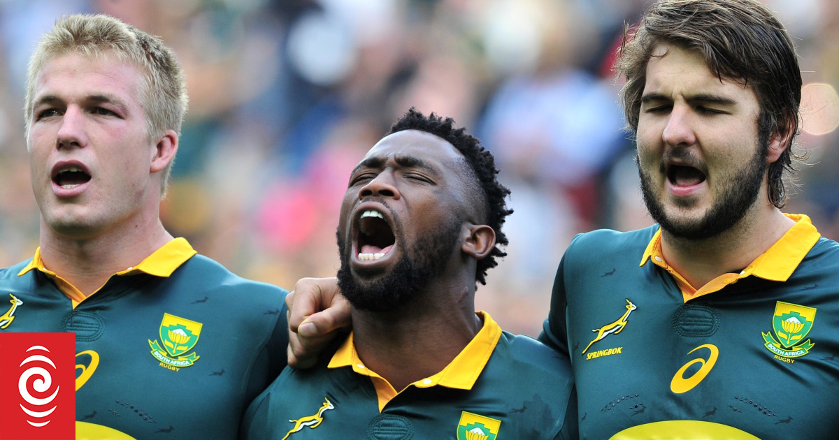 Springboks fight back to win Ellis Park thriller | RNZ News