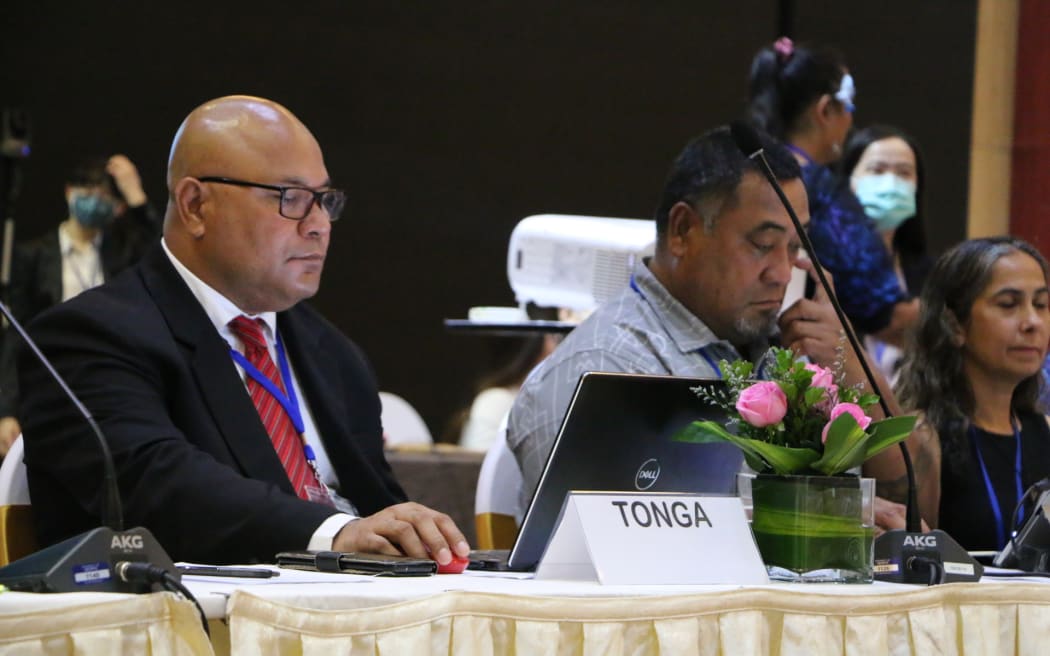 Tonga calls for more unity in tuna conservation efforts | RNZ News