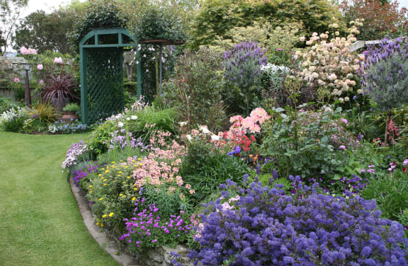 The Taranaki Garden Spectacular show | A Gallery from News | RNZ