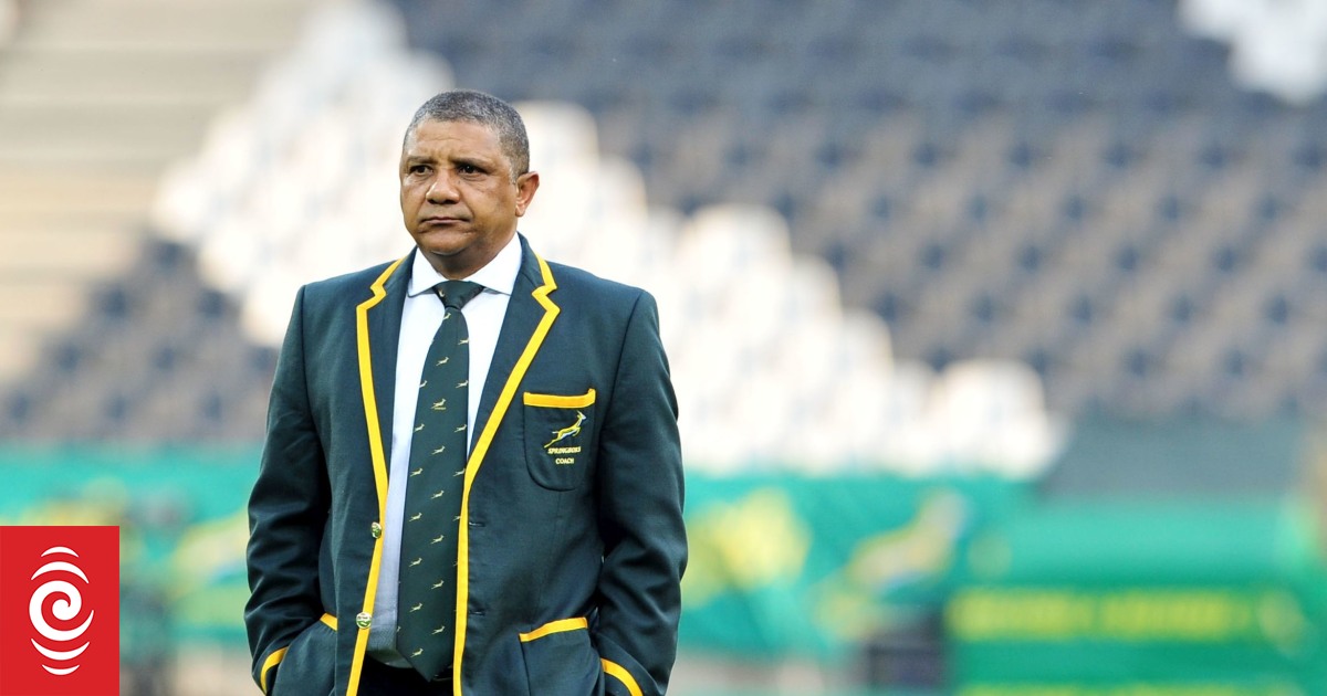 Springbok coach refuses to quit | RNZ News